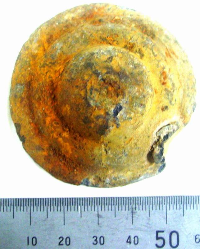 Ship's Fitting: Small Round Disc - Canterbury Museum