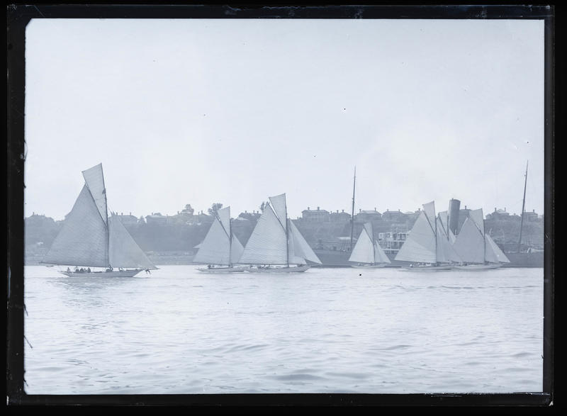Glass Plate Negative: Six yachts - Canterbury Museum