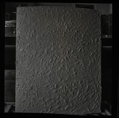 Negative: Texture pattern - Canterbury Museum