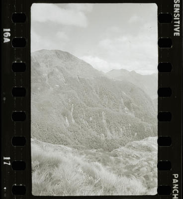 Negative: Erosion Scars - Canterbury Museum