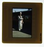 Slide: Transport to Home - Canterbury Museum