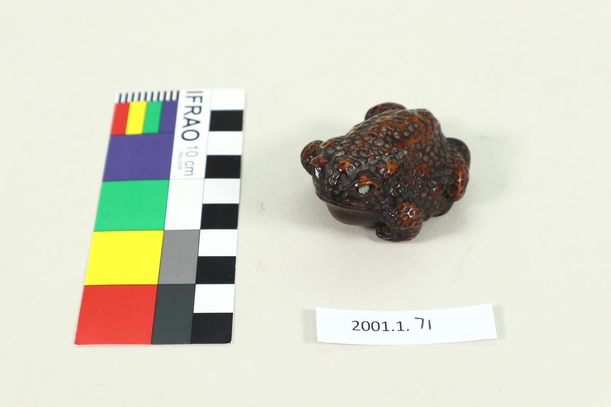 Netsuke toad - Canterbury Museum