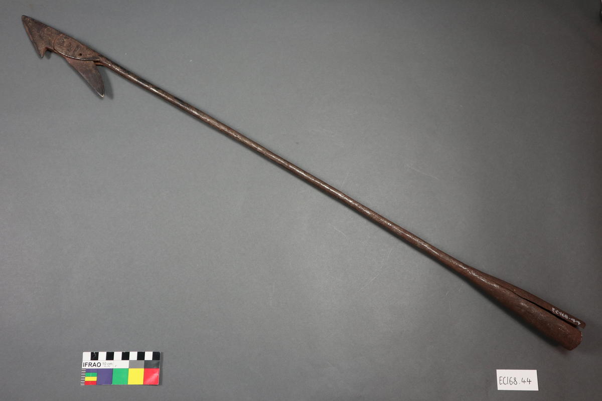 harpoon head - Canterbury Museum