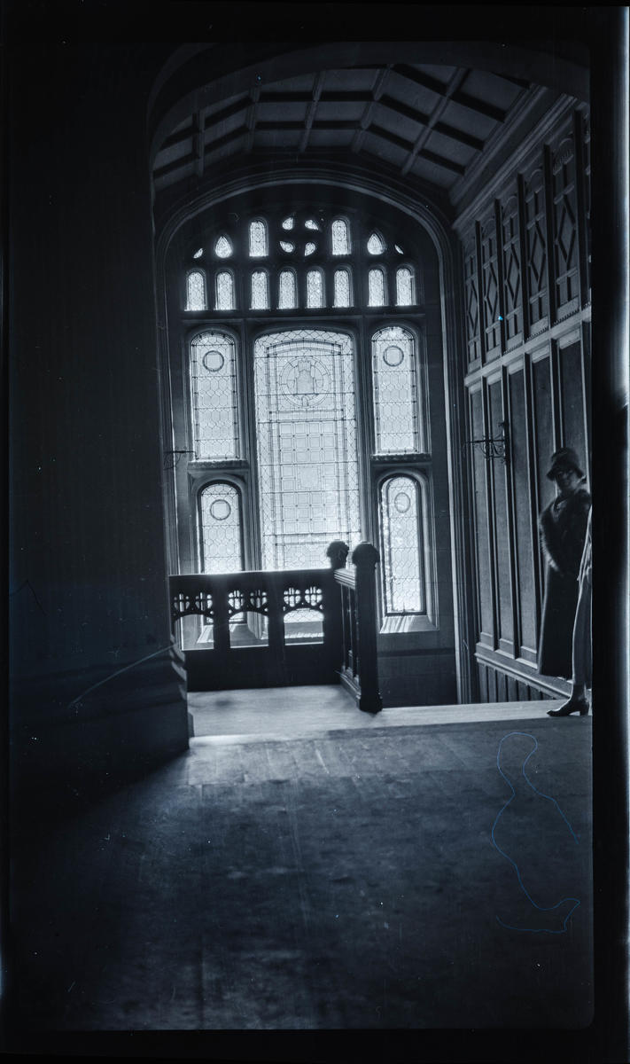 Film Negative: stained glass windows - Canterbury Museum