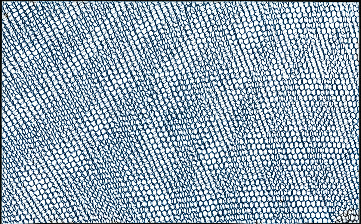 Negative: Woven pattern - Canterbury Museum