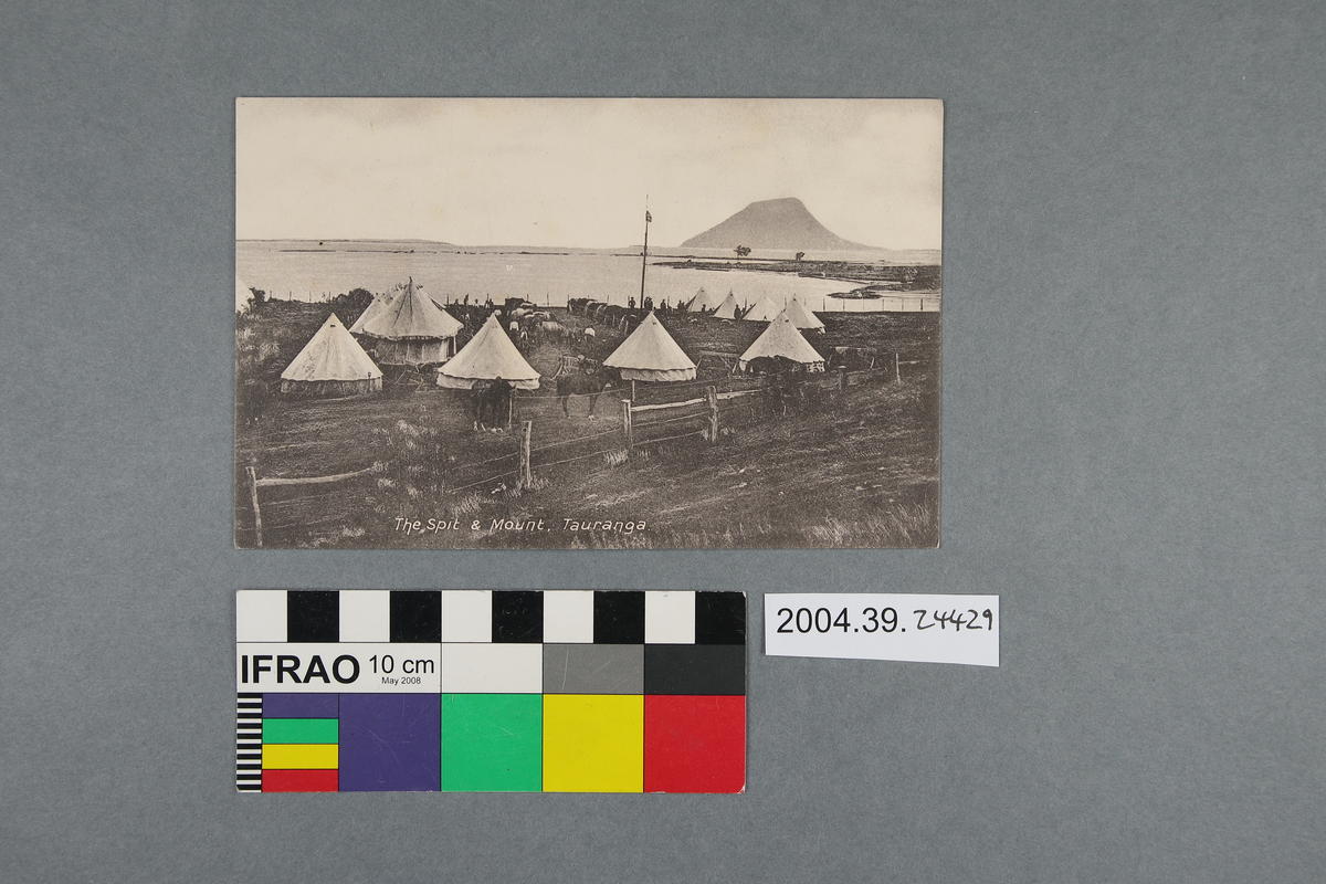 Postcard: The Spit and Mount, Tauranga - Canterbury Museum