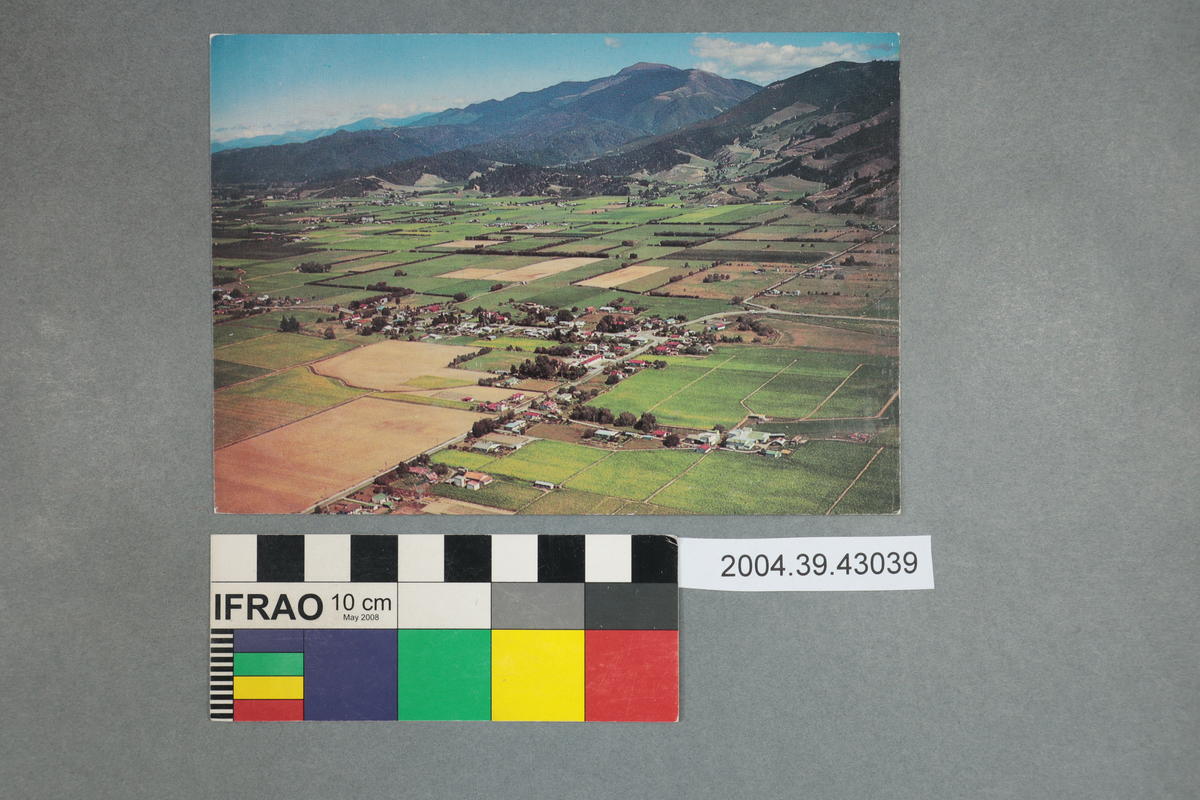 Postcard of Riwaka, N.Z. - Canterbury Museum