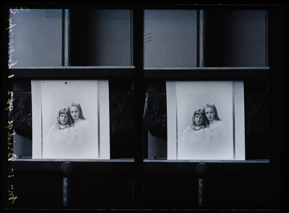 Glass Plate Negative: Mrs H W Bridge - A copy of two young ladies (twin ...