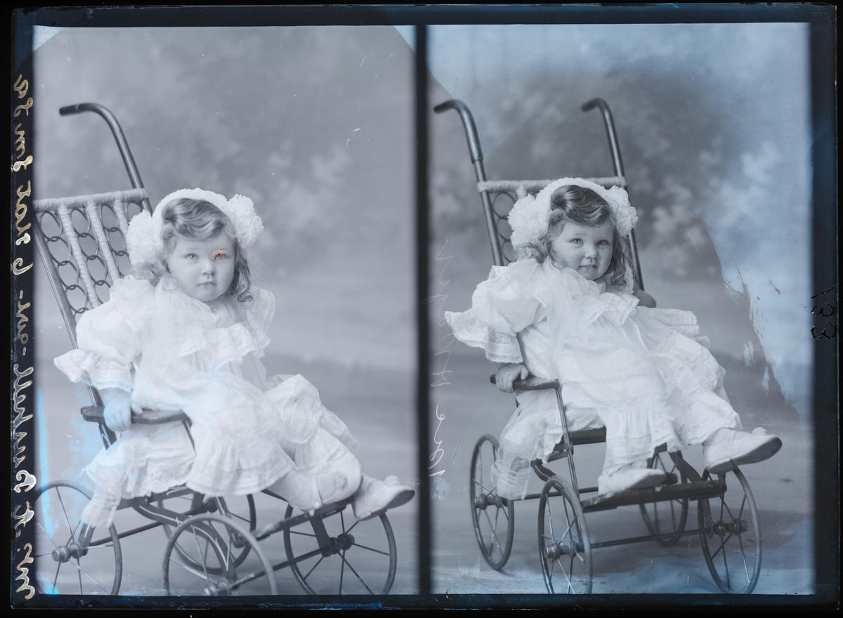 Glass Plate Negative: Mrs A Bushell - Young girl (twin negative ...