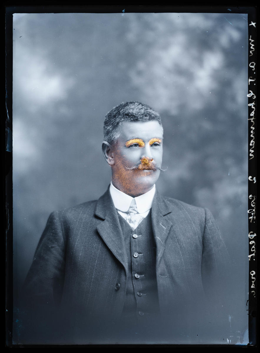 Glass Plate Negative: Mr A T Chapman - Canterbury Museum