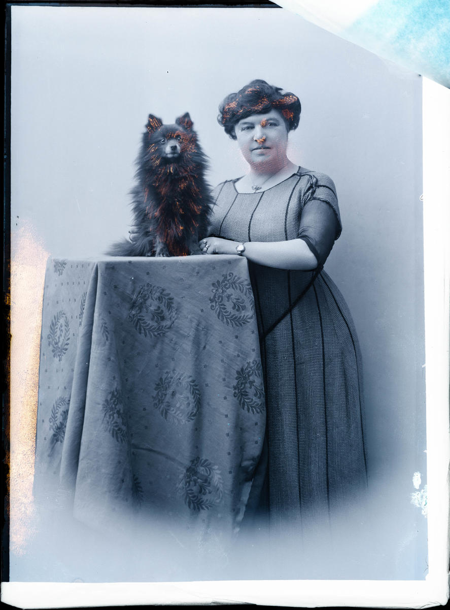 Glass Plate Negative: Mrs Helene Cross and dog - Canterbury Museum
