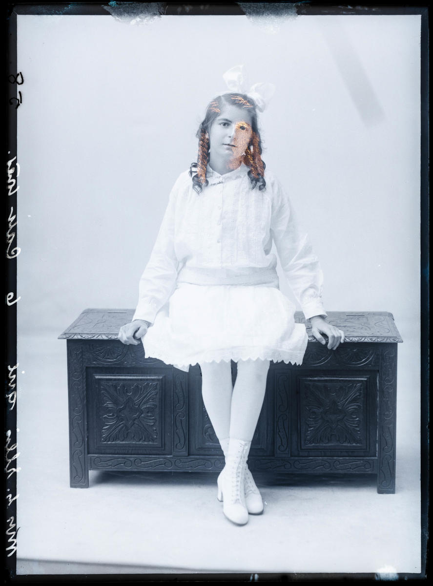 Glass Plate Negative: Mrs G Ellis - young woman - Canterbury Museum