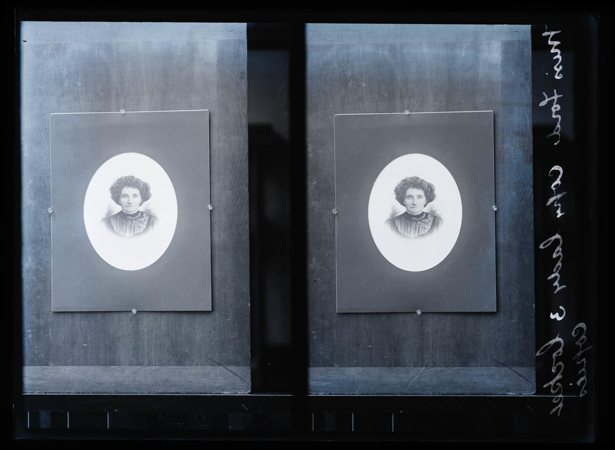 Glass Plate Negative: Portrait of a woman (copy, twin negative ...