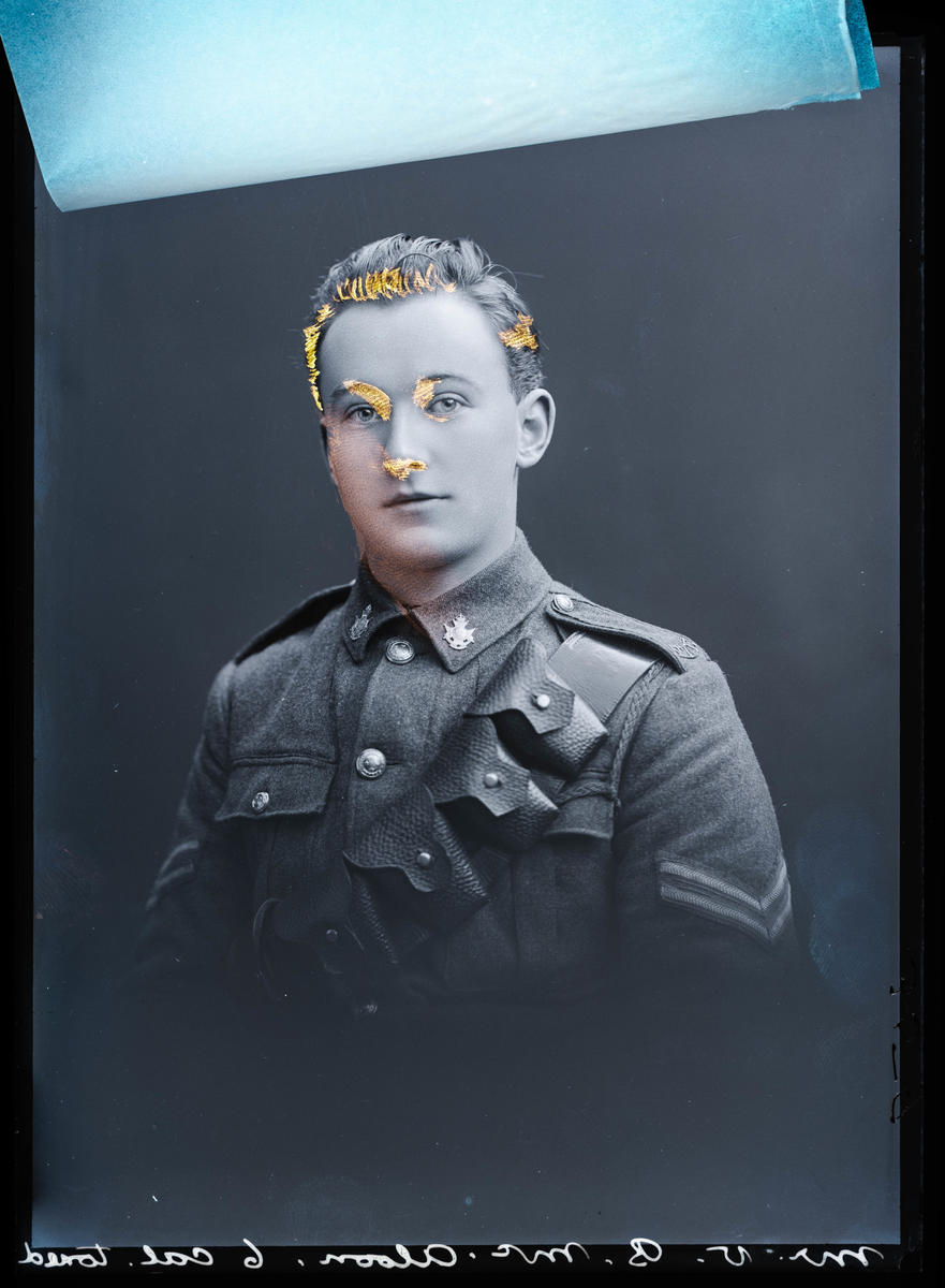 Glass Plate Negative: Mr V B McAloon - Canterbury Museum