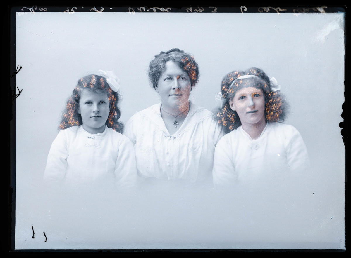 Glass Plate Negative: Group of three - Canterbury Museum