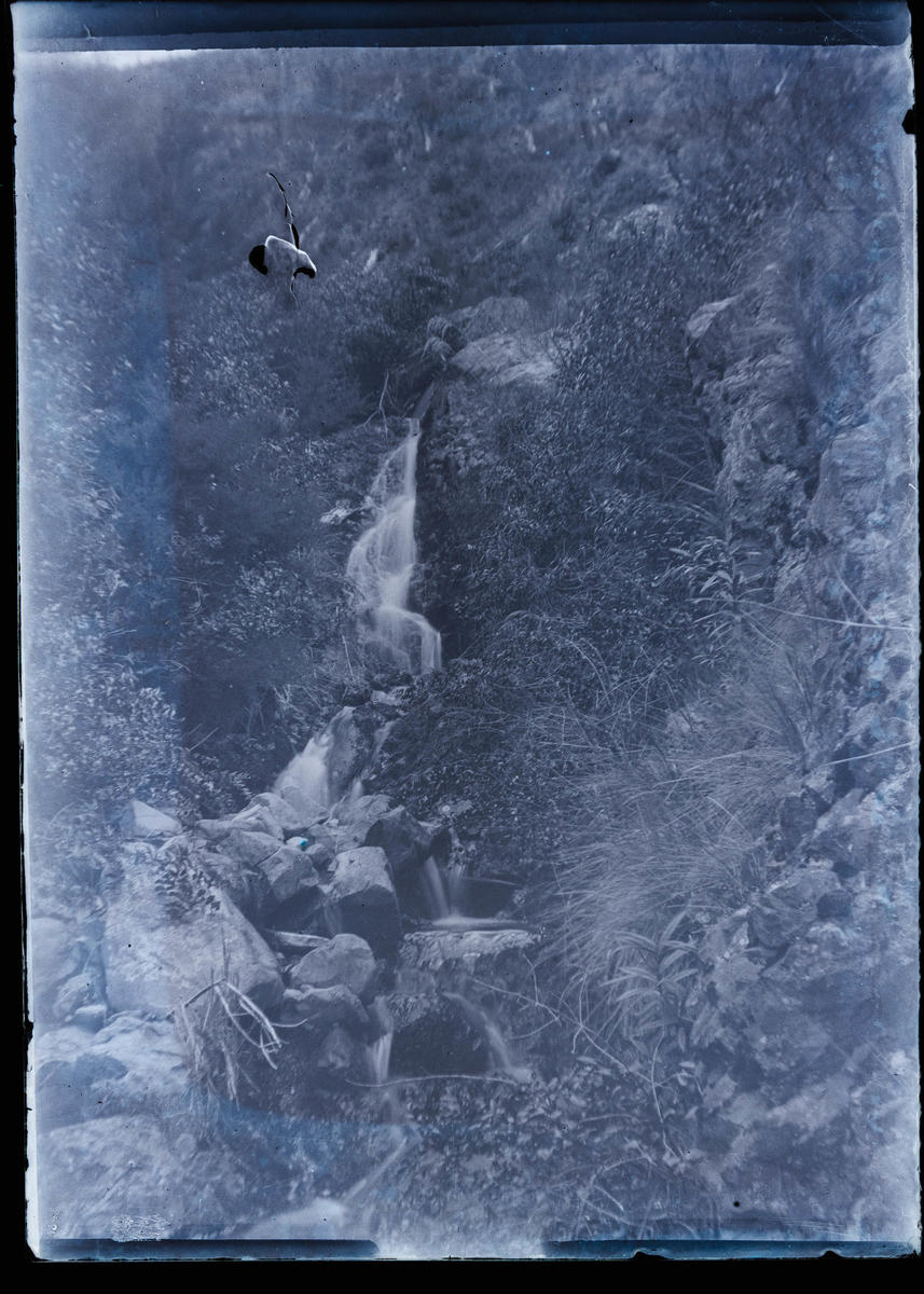 Glass Plate Negative: Waterfall - Canterbury Museum