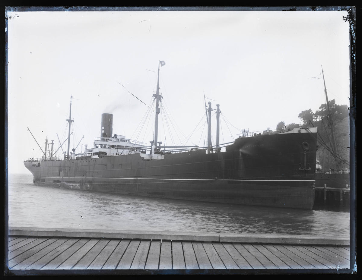 Glass Plate Negative: Ship in dock - Canterbury Museum