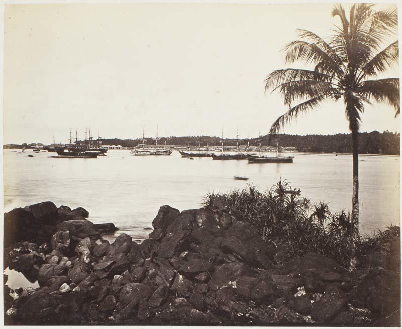Photograph: Point de Galle - Canterbury Museum